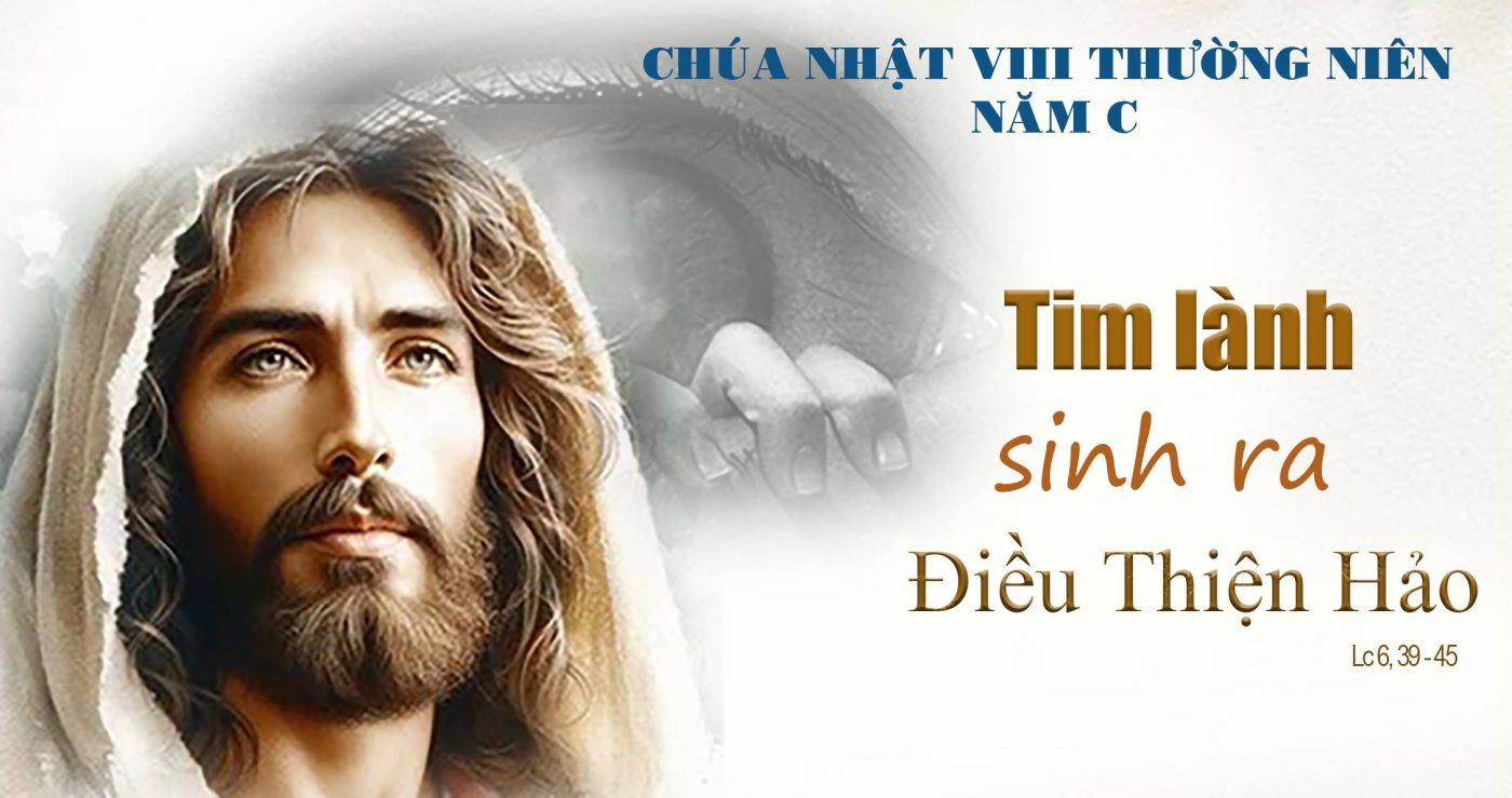 Tim lành sinh ra điều thiện hảo (Suy niệm Tin Mừng Chúa Nhật VIII – TNC ...